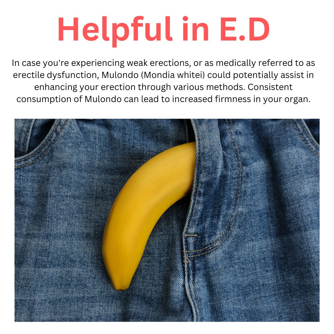Mulondo (Mondia whitei) - 60 Capsules 1gm Each | ProWellness Mantra ...